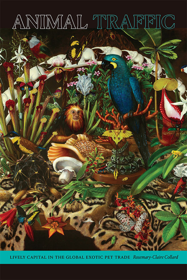 Egzotyczne zwierzęta to towar i zabawka? | Obserwator Finansowy ...